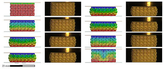 Low Impact Velocity Modeling of 3D Printed Spatially Graded Elastomeric Lattices