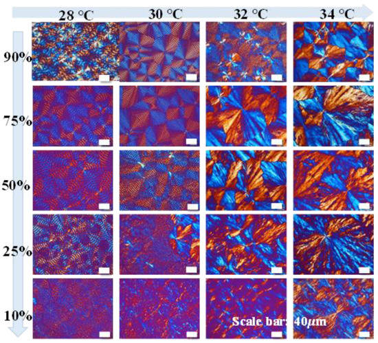 Grating Assembly Dissected in Periodic Bands of Poly (Butylene Adipate ...