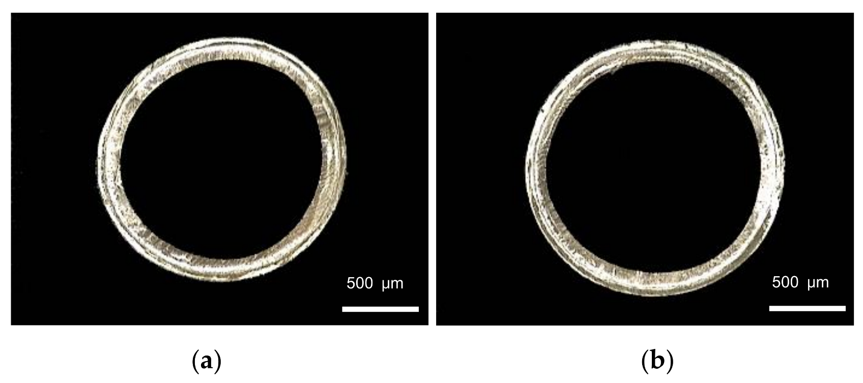 Study on the Extrusion Molding Process of Polylactic Acid Micro Tubes ...