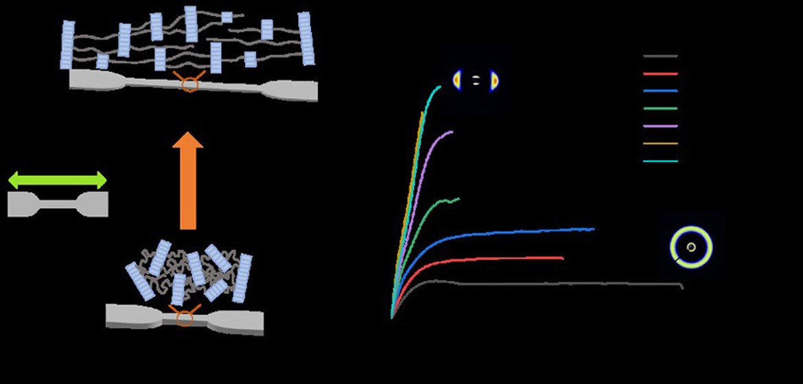 Polymers | Free Full-Text | The Structural Evolution and Mechanical ...