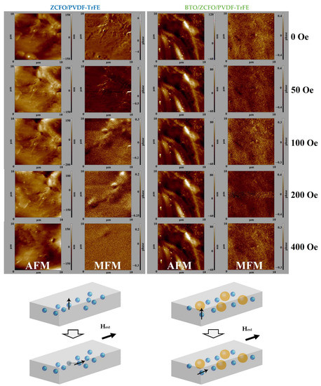 Effect of Piezoelectric BaTiO3 Filler on Mechanical and Magnetoelectric ...