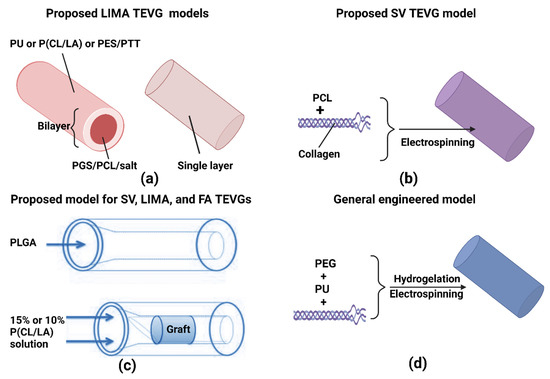Acellular Tissue-Engineered Vascular Grafts from Polymers: Methods ...