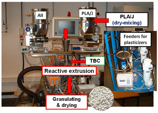 Polymers | Free Full-Text | Tailoring and Long-Term Preservation of the ...