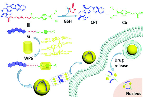 Polymers | Free Full-Text | Supramolecular Combination Cancer Therapy Based on Macrocyclic ...