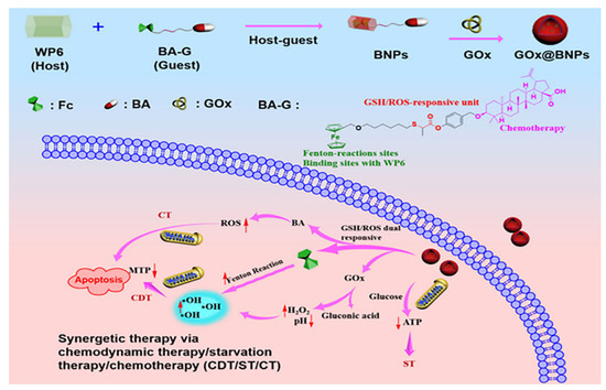 Polymers | Free Full-Text | Supramolecular Combination Cancer Therapy Based on Macrocyclic ...
