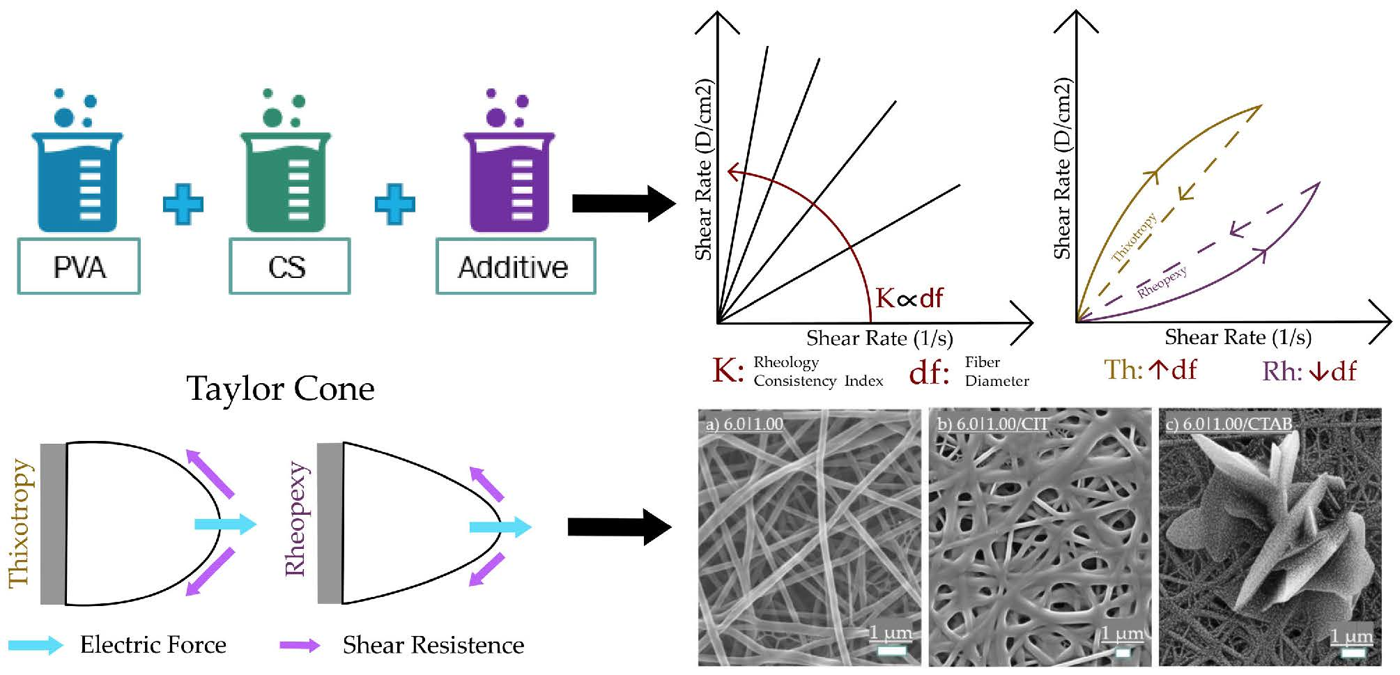 Polymers | Free Full-Text | Composition Effects on the Morphology of PVA/Chitosan Electrospun ...