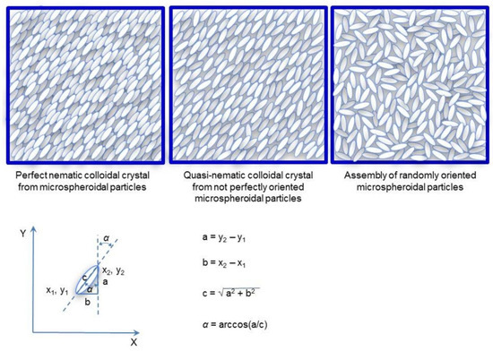 New Class of Polymer Materials—Quasi-Nematic Colloidal Particle Self ...