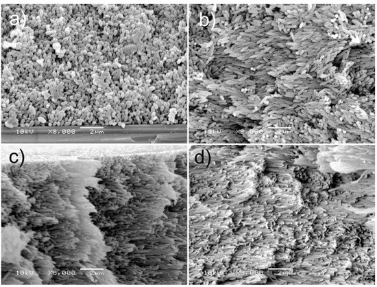New Class of Polymer Materials—Quasi-Nematic Colloidal Particle Self ...