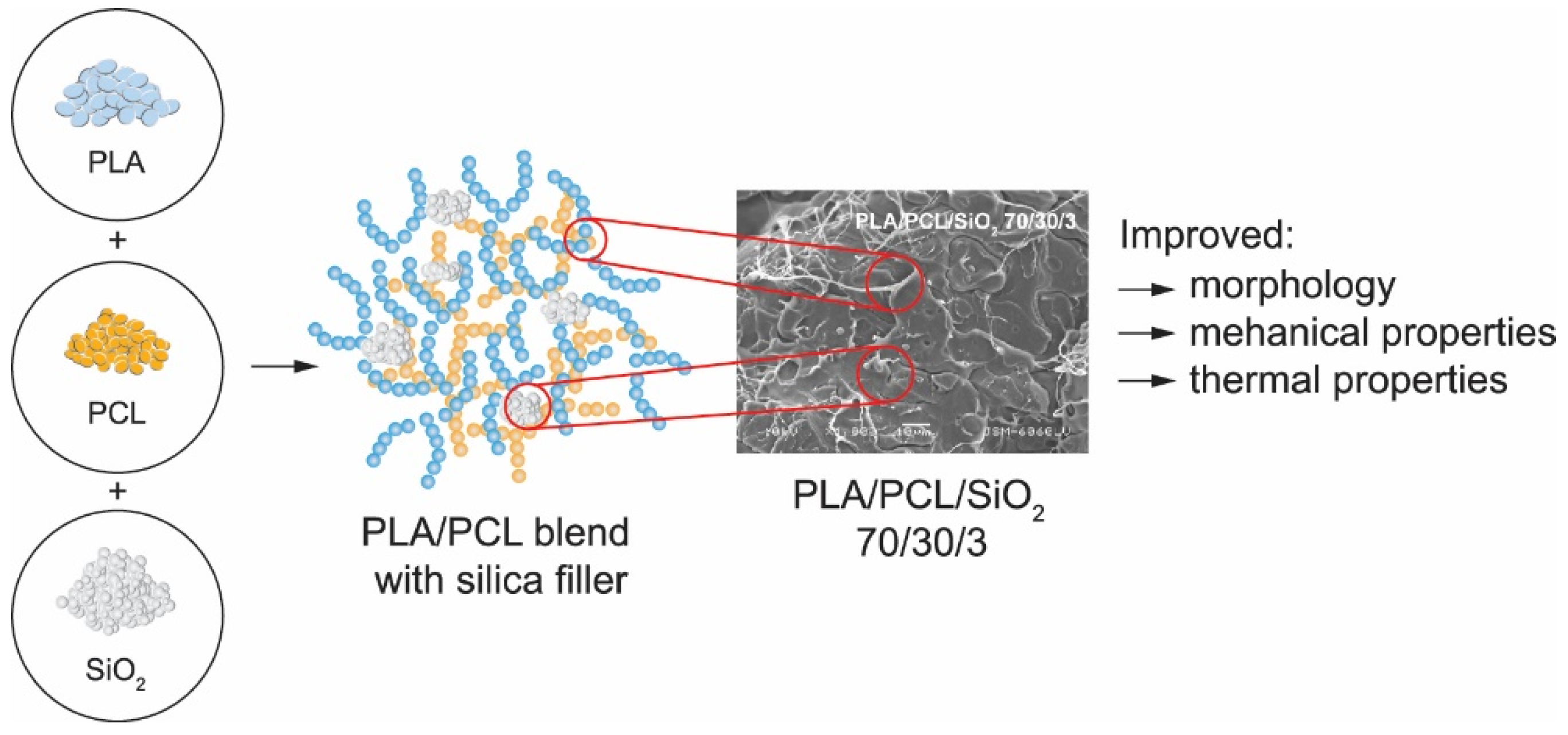 Effect of the Addition of Nano-Silica and Poly(ε-caprolactone) on the ...