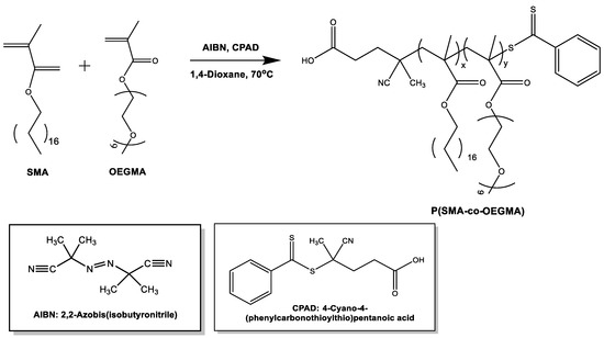 Amphiphilic Copolymer-Lipid Chimeric Nanosystems as DNA Vectors