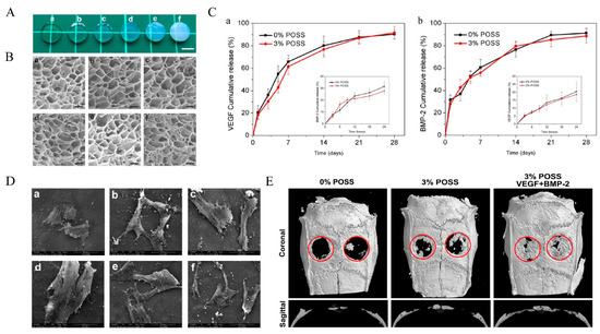 Application of Hydrogels as Sustained-Release Drug Carriers in Bone ...