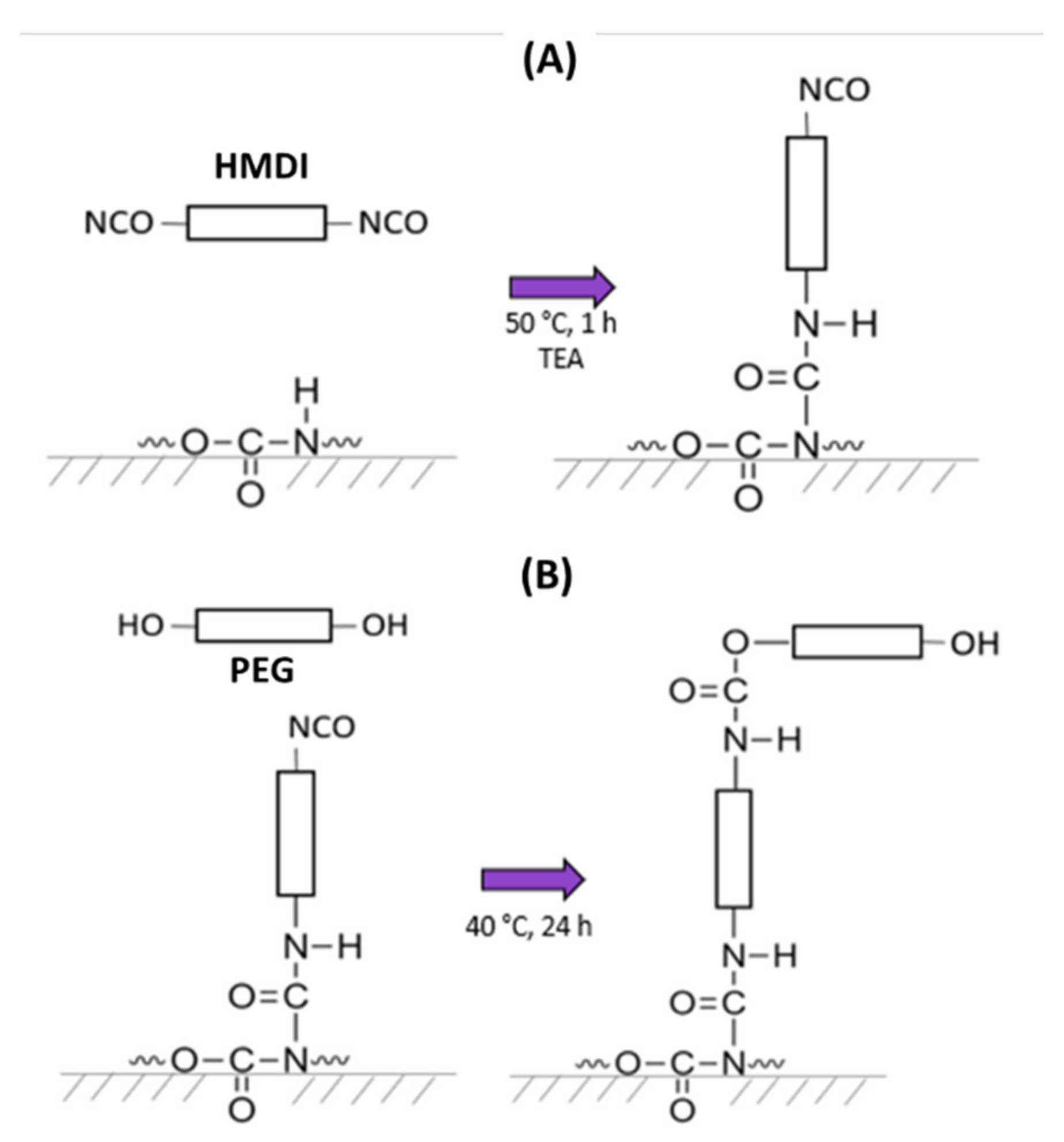 Polymers | Free Full-Text | Influence of Molecular Weight and Grafting ...