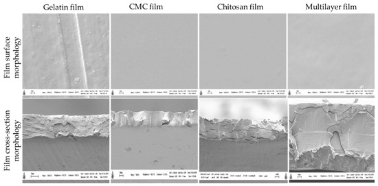 Fabrication and Characterization of Intelligent Multi-Layered ...