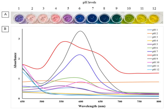 Fabrication and Characterization of Intelligent Multi-Layered ...