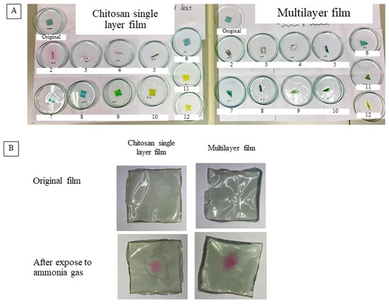Fabrication and Characterization of Intelligent Multi-Layered ...
