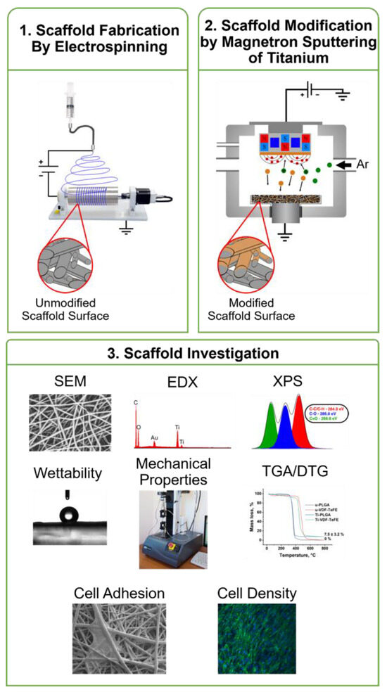 Polymers | Free Full-Text | Surface Modification of Electrospun ...