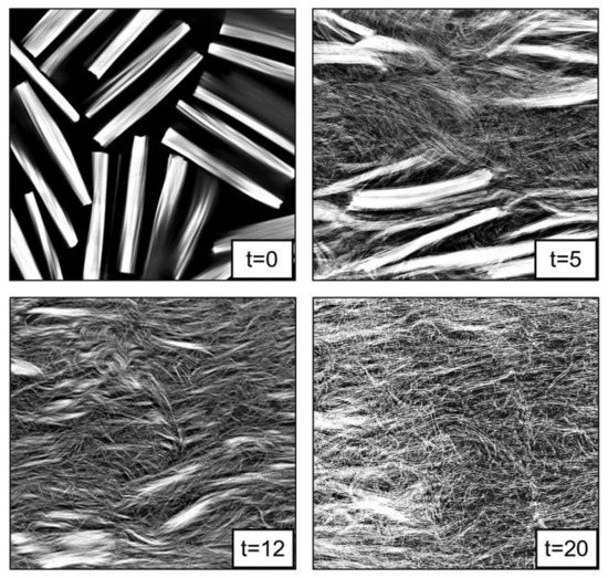 A Review on Microstructural Formations of Discontinuous Fiber ...