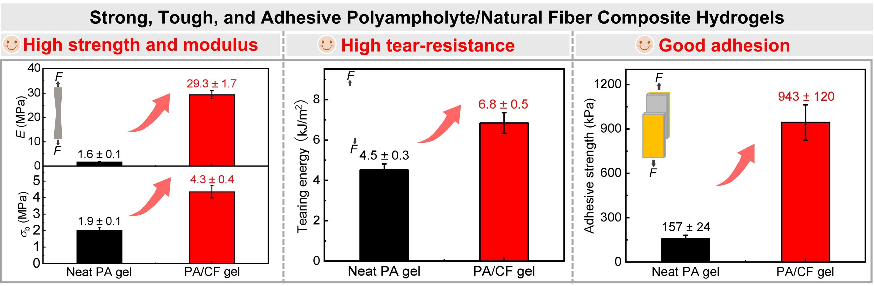 Polymers | Free Full-Text | Strong, Tough, and Adhesive Polyampholyte ...