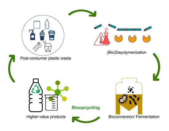 Polymers | Free Full-Text | Critical Review on the Progress of Plastic ...