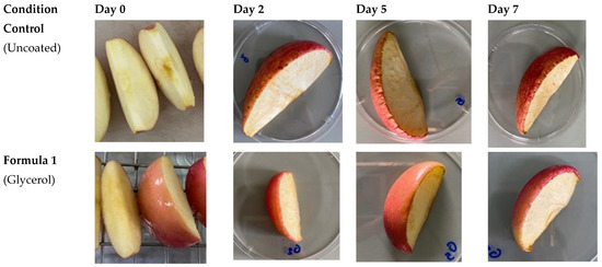 Development of Bioactive Opuntia ficus-indica Edible Films Containing ...