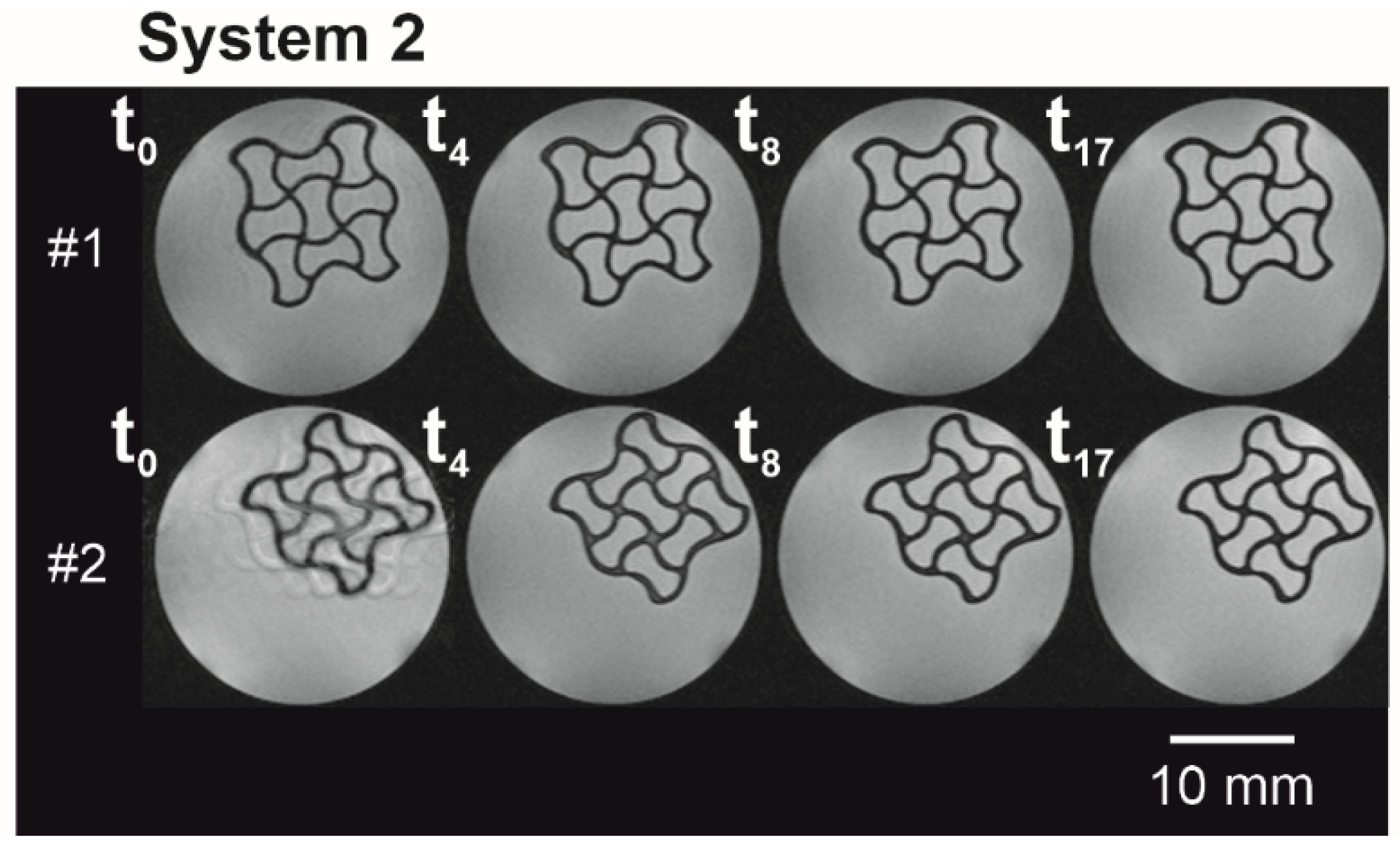 Polymers | Free Full-Text | Magnetic Resonance Imaging: Time-Dependent ...