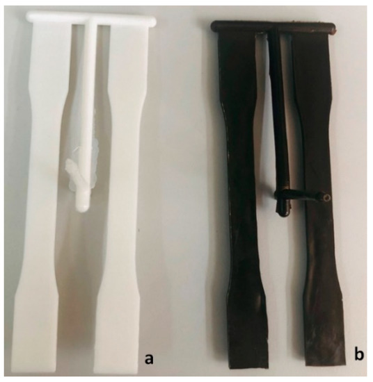 Fabrication of a Polybutylene Succinate (PBS)/Polybutylene Adipate-Co ...