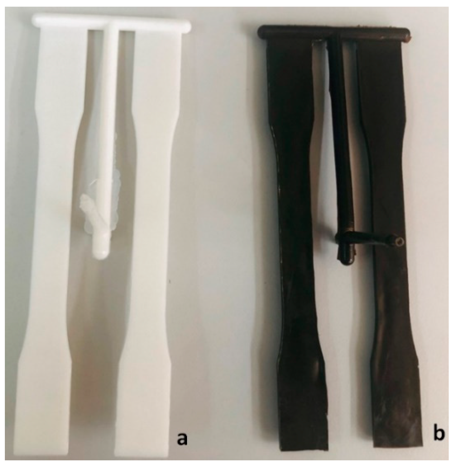Fabrication of a Polybutylene Succinate (PBS)/Polybutylene Adipate-Co ...