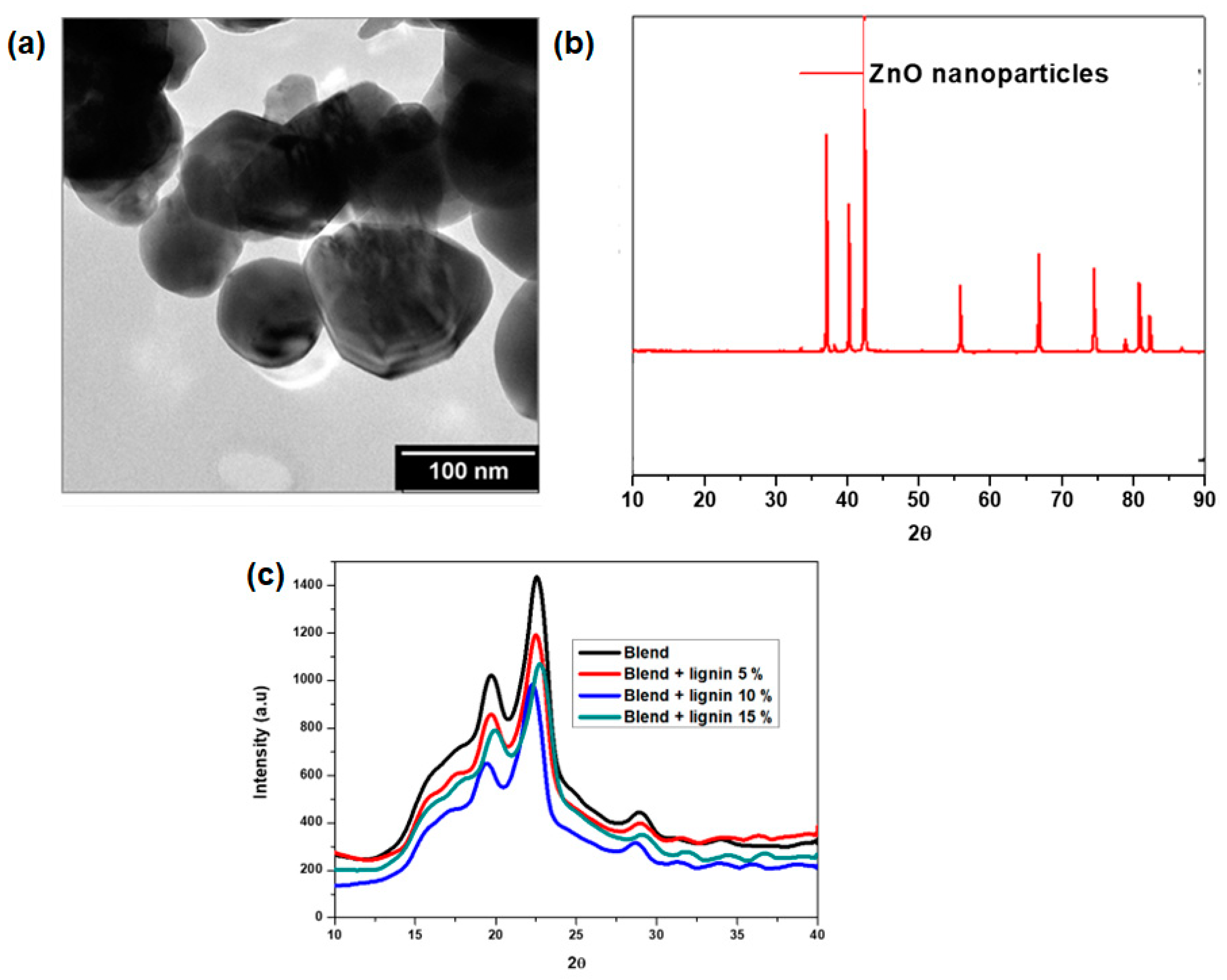 Fabrication of a Polybutylene Succinate (PBS)/Polybutylene Adipate-Co ...