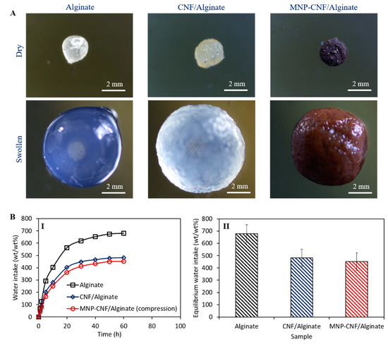 Magnetic Hydrogel Composite for Wastewater Treatment