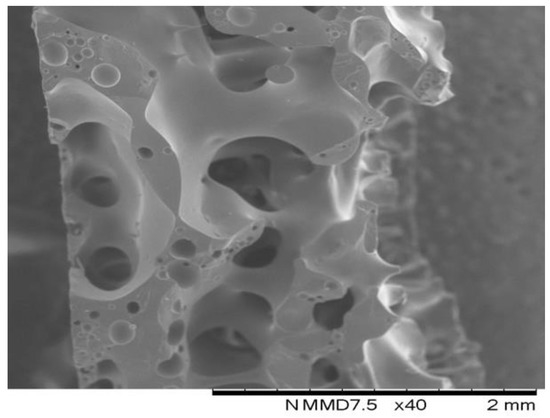 Development and Characterization of Functional Polylactic Acid/Chitosan ...