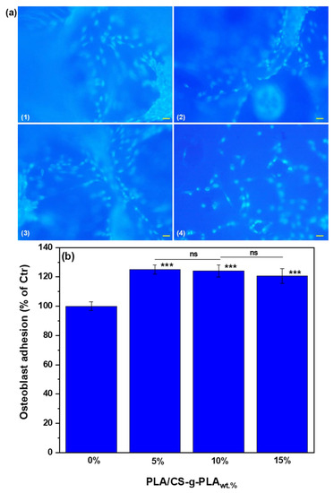 Development and Characterization of Functional Polylactic Acid/Chitosan ...