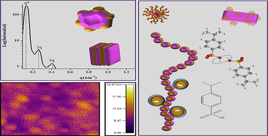 Polymers | Free Full-Text | Sulfonated Block Copolymers: Synthesis, Chemical Modification, Self ...