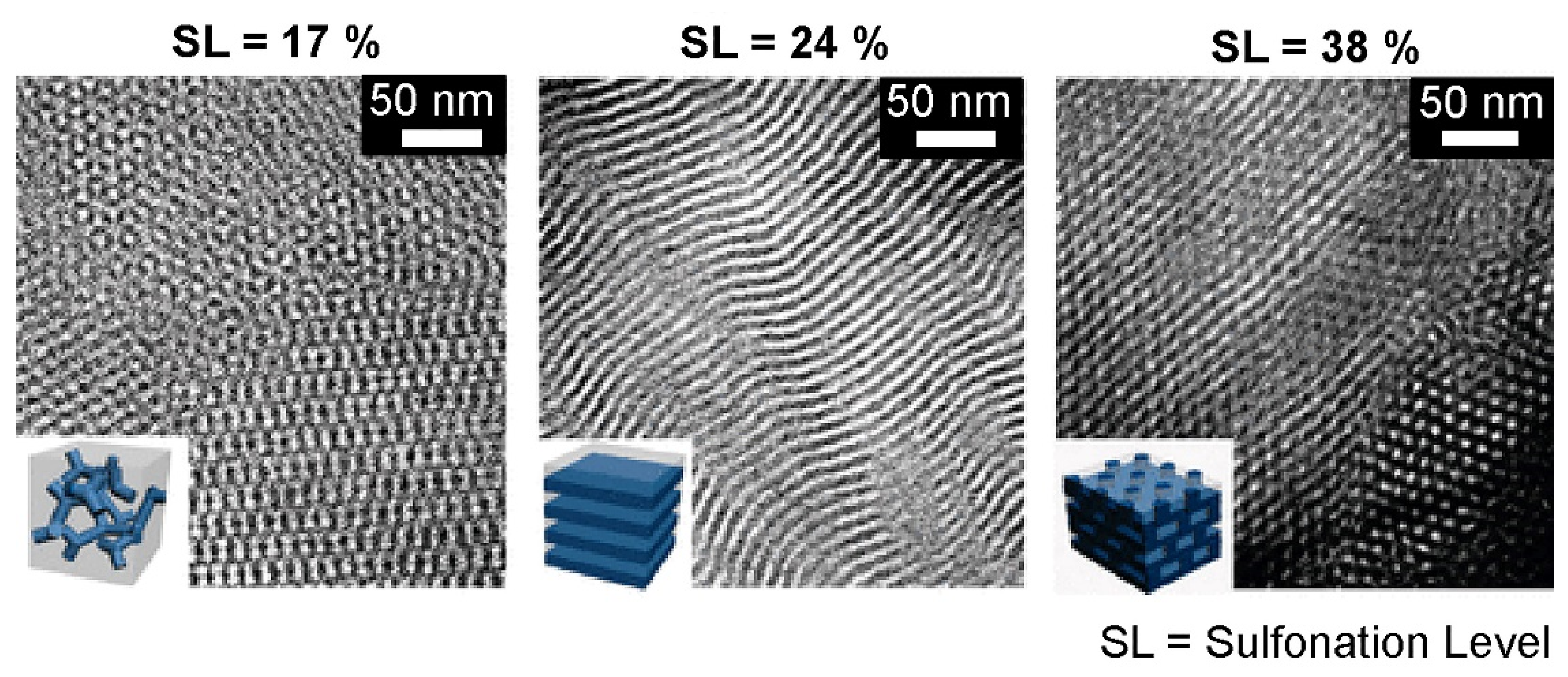 Sulfonated Block Copolymers: Synthesis, Chemical Modification, Self ...