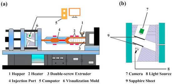 Deformation and Simulation of the Cellular Structure of Foamed ...