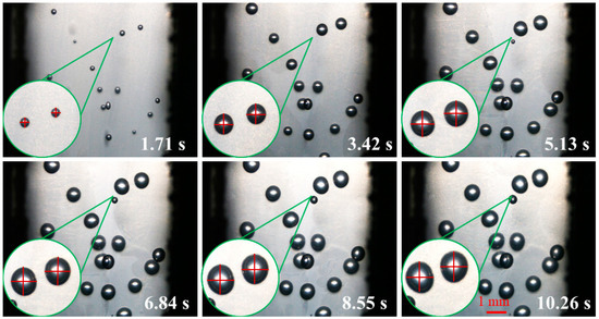 Deformation and Simulation of the Cellular Structure of Foamed ...