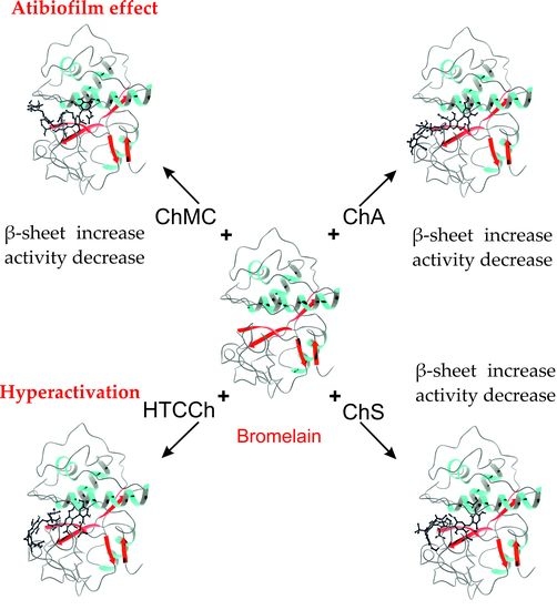 Polymers | Free Full-Text | Novel Biocatalysts Based on Bromelain ...