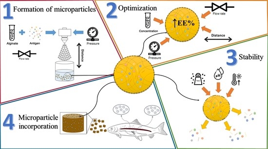 Polymers | Free Full-Text | Microencapsulation of Piscirickettsia ...