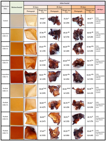 Enhanced Functional Properties of Bioplastic Films Using Lignin ...