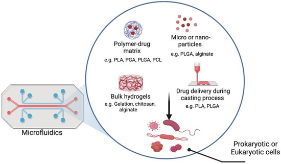 Polymers | Free Full-Text | Role of Polymers in Microfluidic Devices