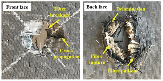 Recent Progress on Natural Fibers Mixed with CFRP and GFRP: Properties ...
