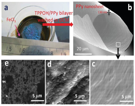 Polypyrrole Nanomaterials: Structure, Preparation and Application