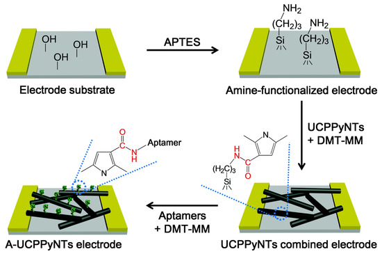 Polypyrrole Nanomaterials: Structure, Preparation and Application