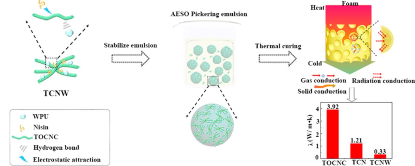 Polymers | Free Full-Text | Preparation of Bio-Based Foams with a Uniform Pore Structure by ...