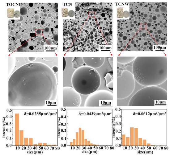 Preparation of Bio-Based Foams with a Uniform Pore Structure by ...