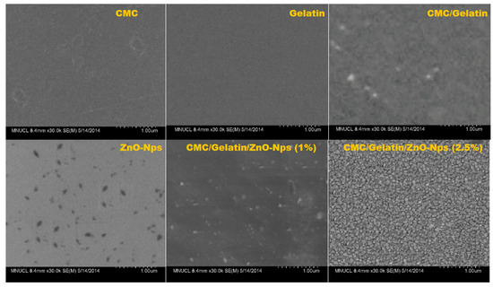 Carboxymethyl Cellulose/Gelatin Hydrogel Films Loaded with Zinc Oxide ...