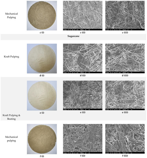 Polymers | Free Full-Text | Valorisation of Underutilized Grass Fibre ...