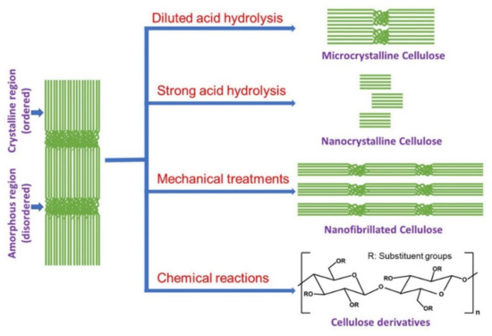 Recent Developments on Bioinspired Cellulose Containing Polymer ...