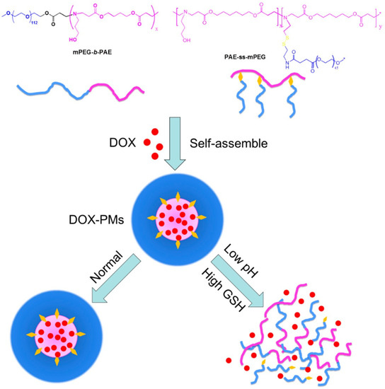 Polymers | Free Full-Text | Recent Advances in Stimuli-Responsive ...