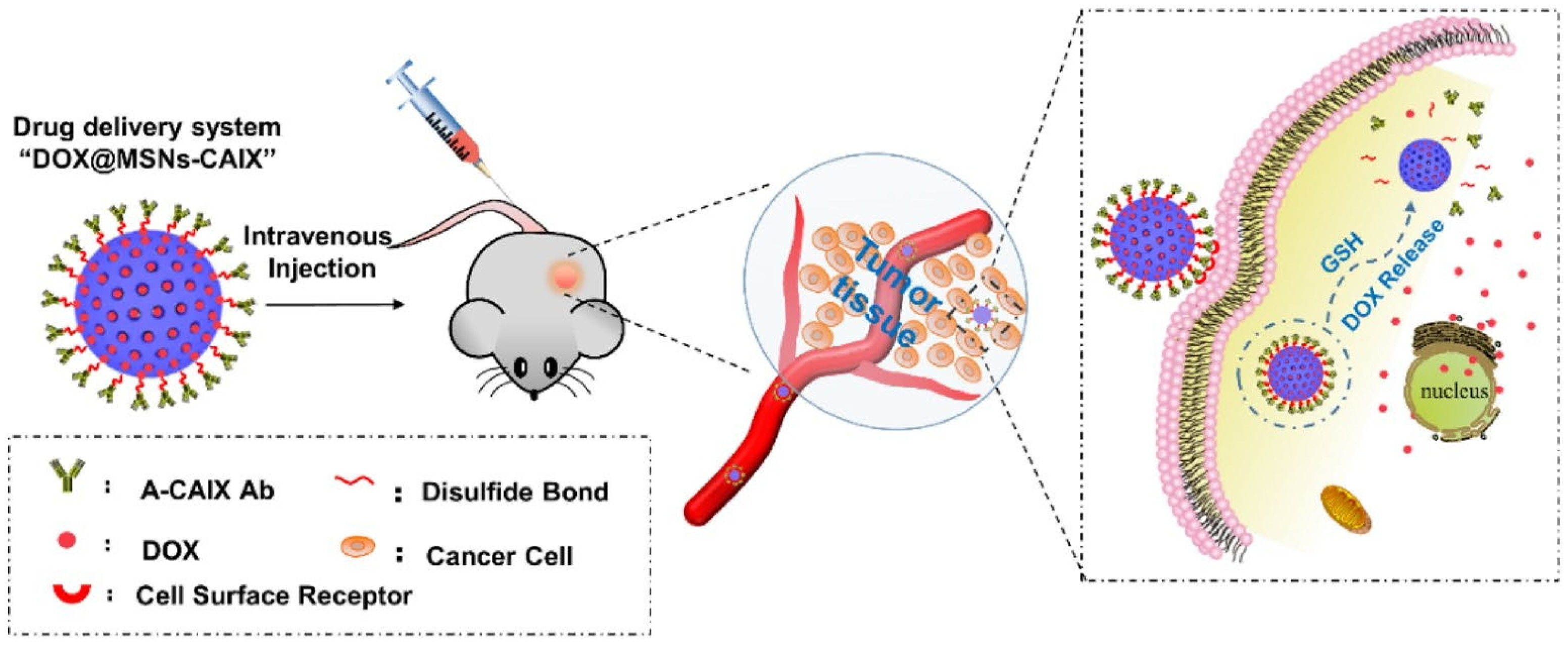 Polymers Free Full Text Recent Advances In Stimuli Responsive