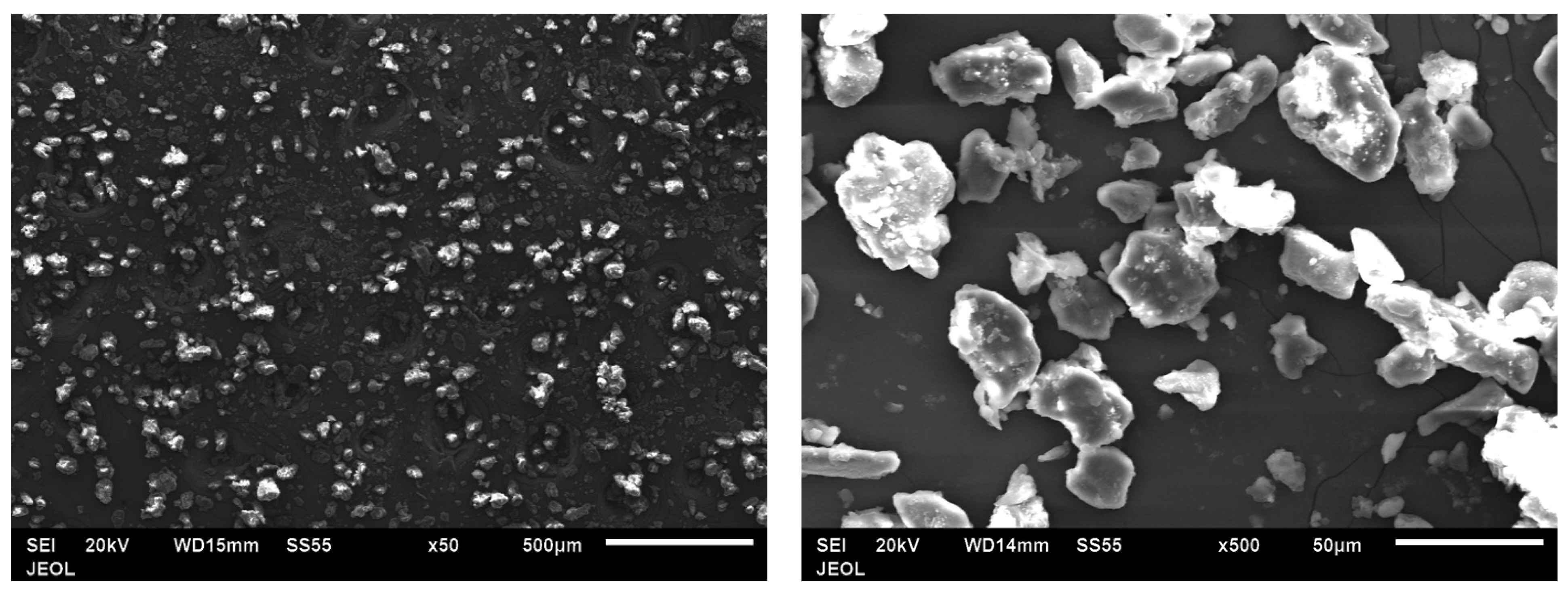 Evaluating the Mechanical and Tribological Properties of 3D Printed ...